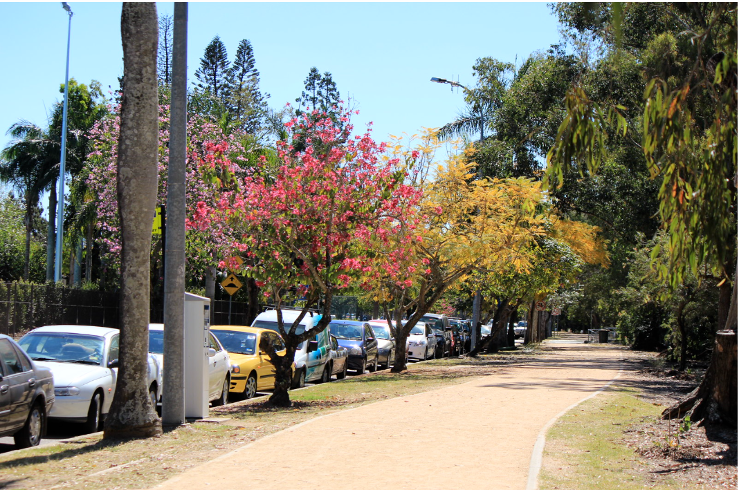 UQAC Recreation Distance Running Group – UQ Athletics